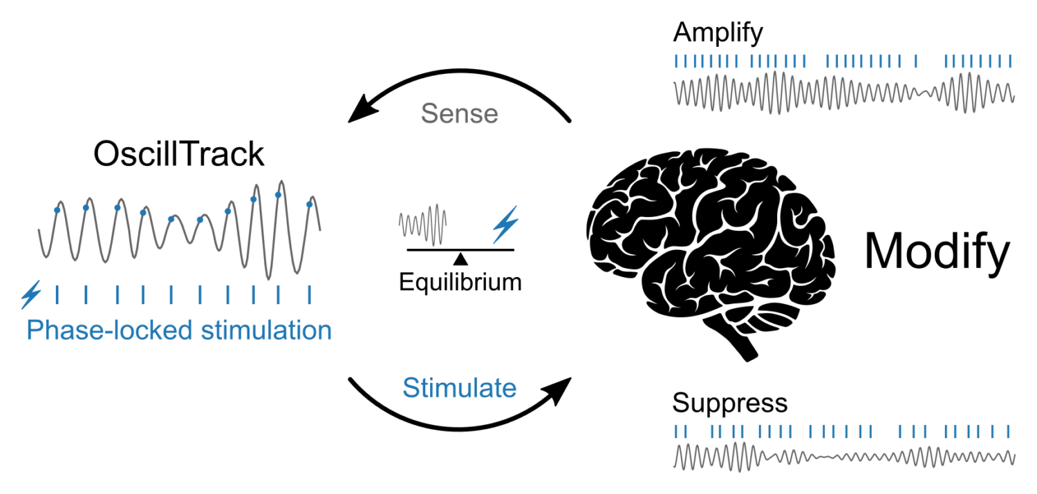 #1 – Colin McNamara & Timon Merk – 06/01/2023 – Stimulating Brains