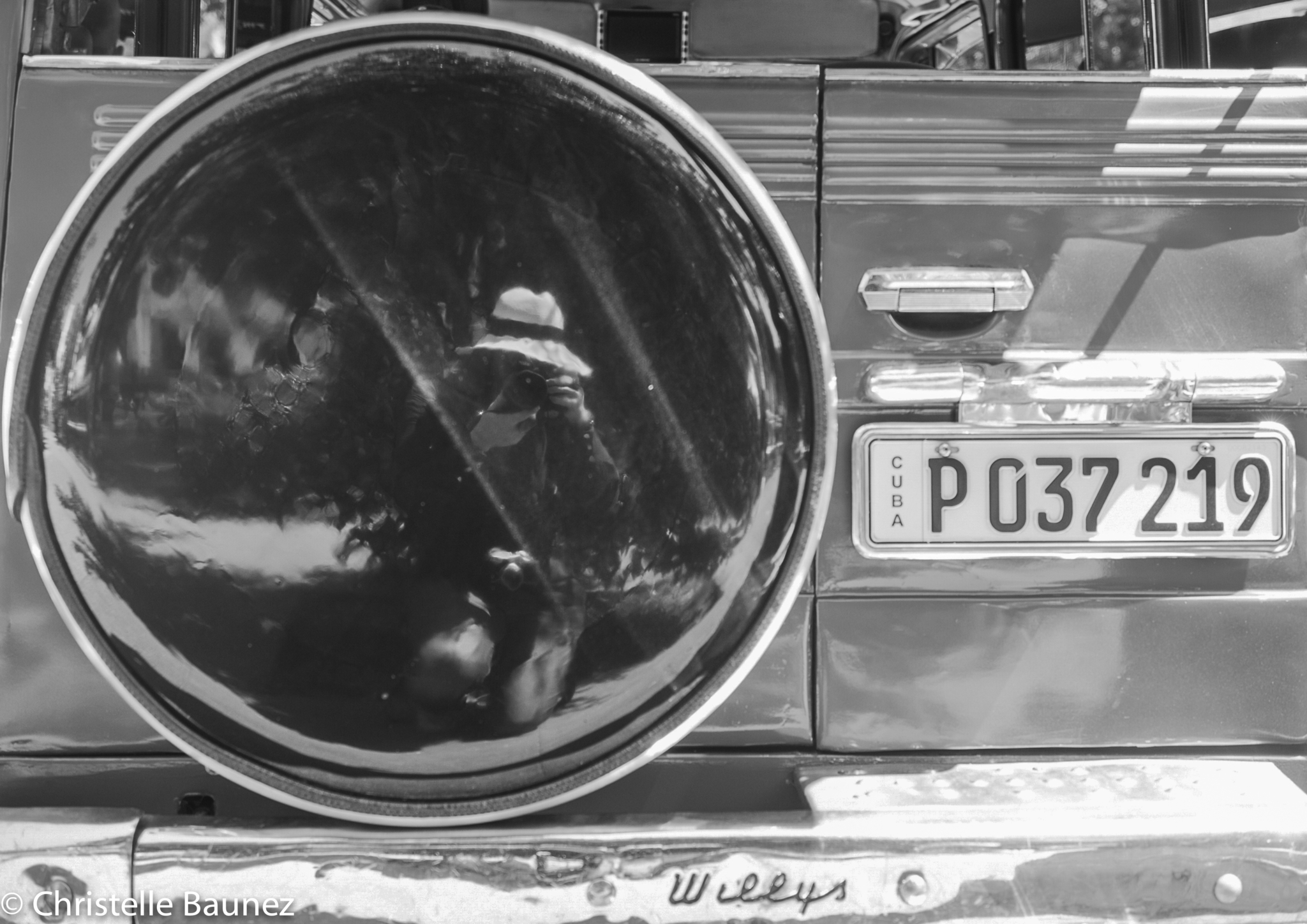 #41: Christelle Baunez – The role of the subthalamic nucleus in brain ...