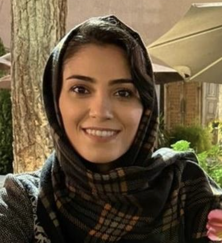 #14 – Ghazaleh Soleimani / Colleen Hanlon – Stimulating Brains