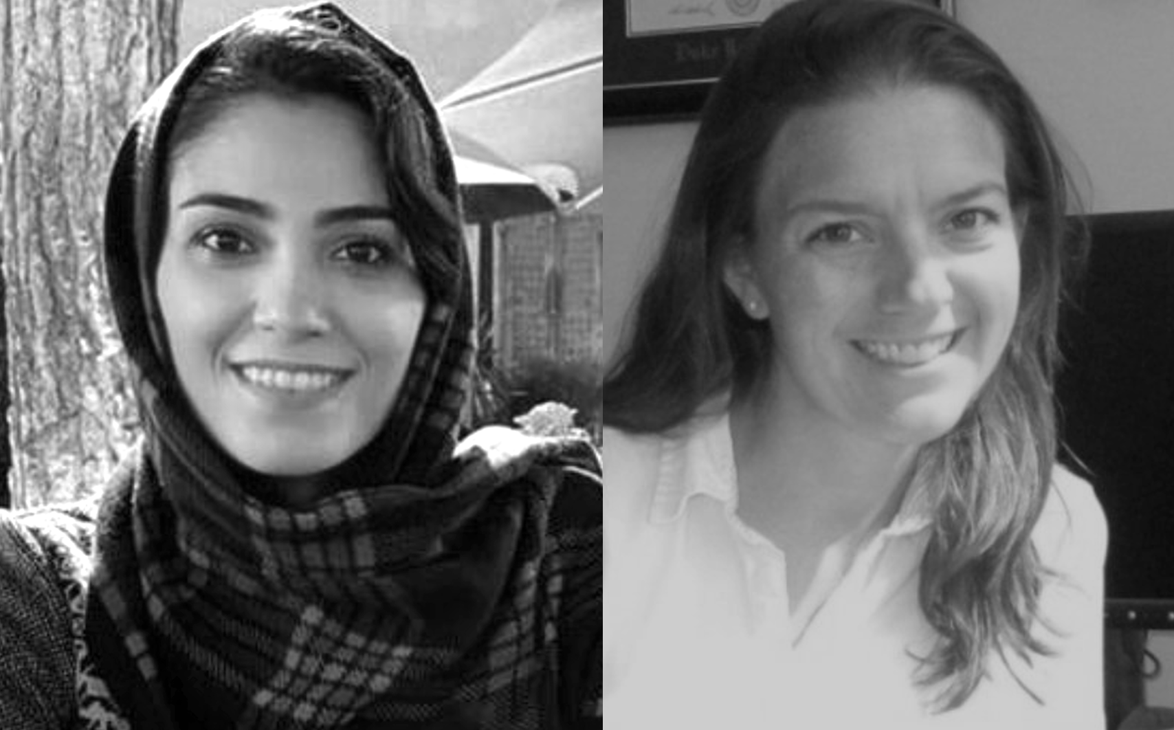 Talk Series – Stimulating Brains